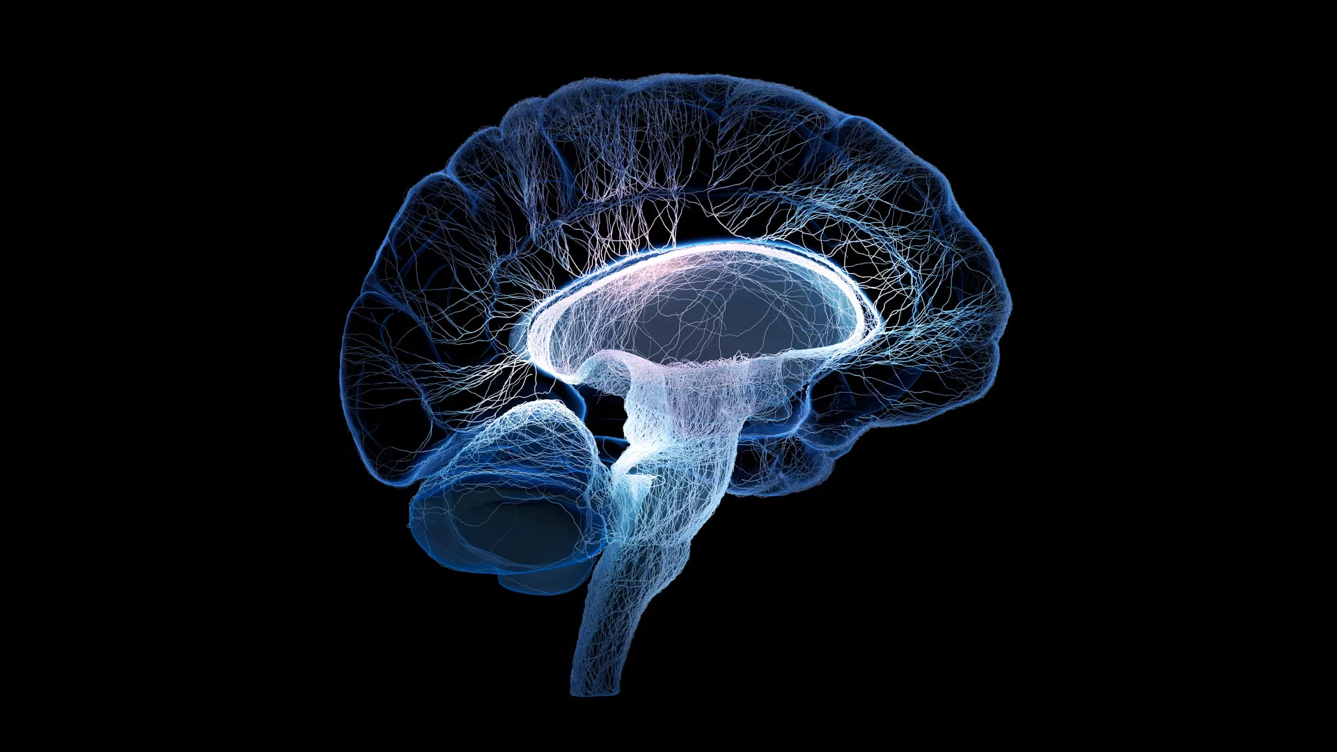 Transcriptome Neuroimaging Association Bridging The Gap Between